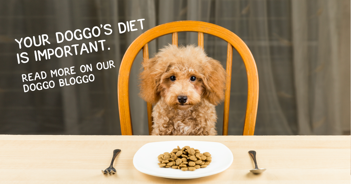 Choosing the Right Dog Food • Yapper